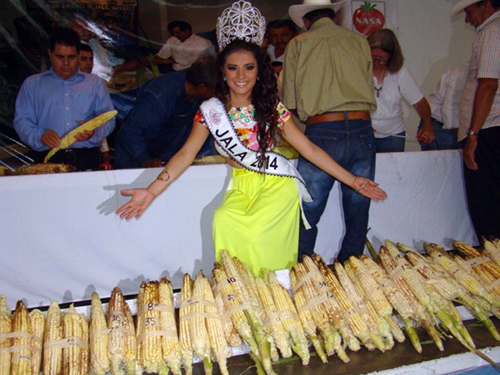 ¡Midió 43 centímetros el elote más grande del mundo! | El Regional